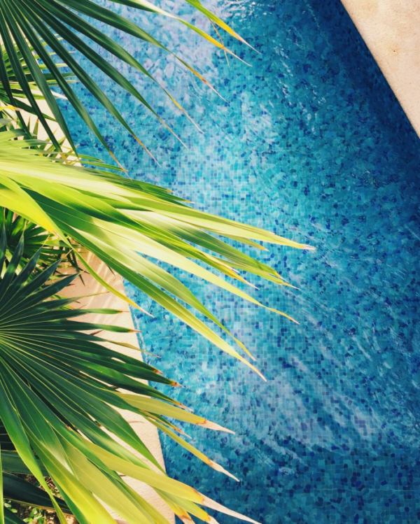 4 Swimming Pool Waterline Tile Ideas